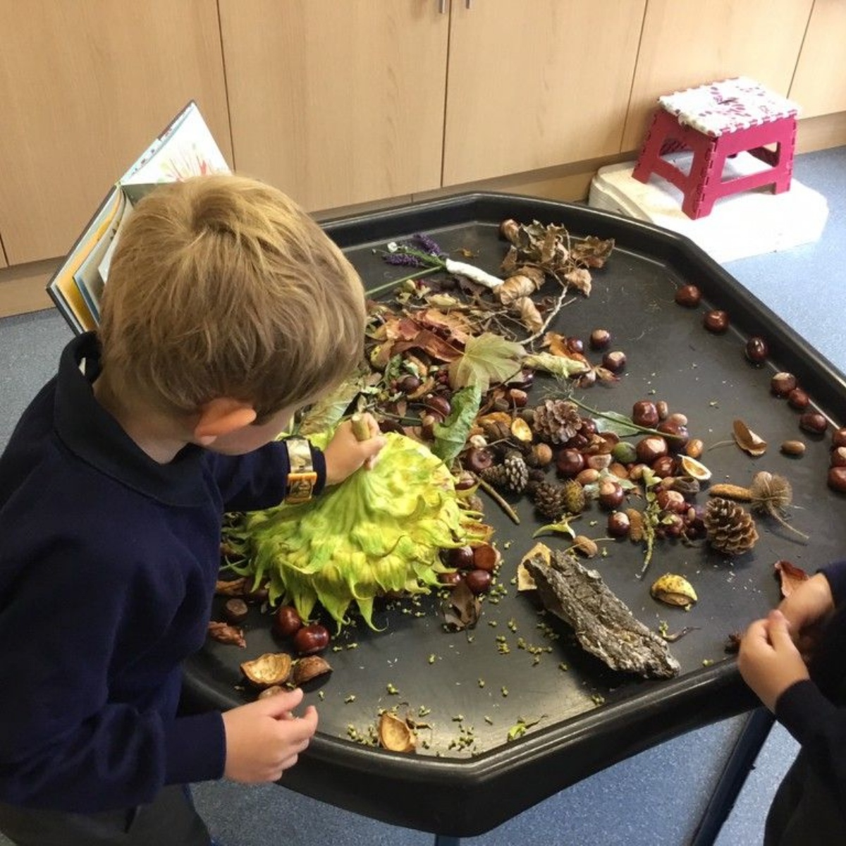 Godmanchester Community Academy - Exploring Autumn