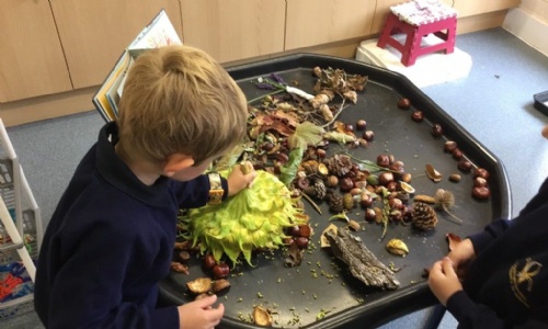 Godmanchester Community Academy - Exploring Autumn